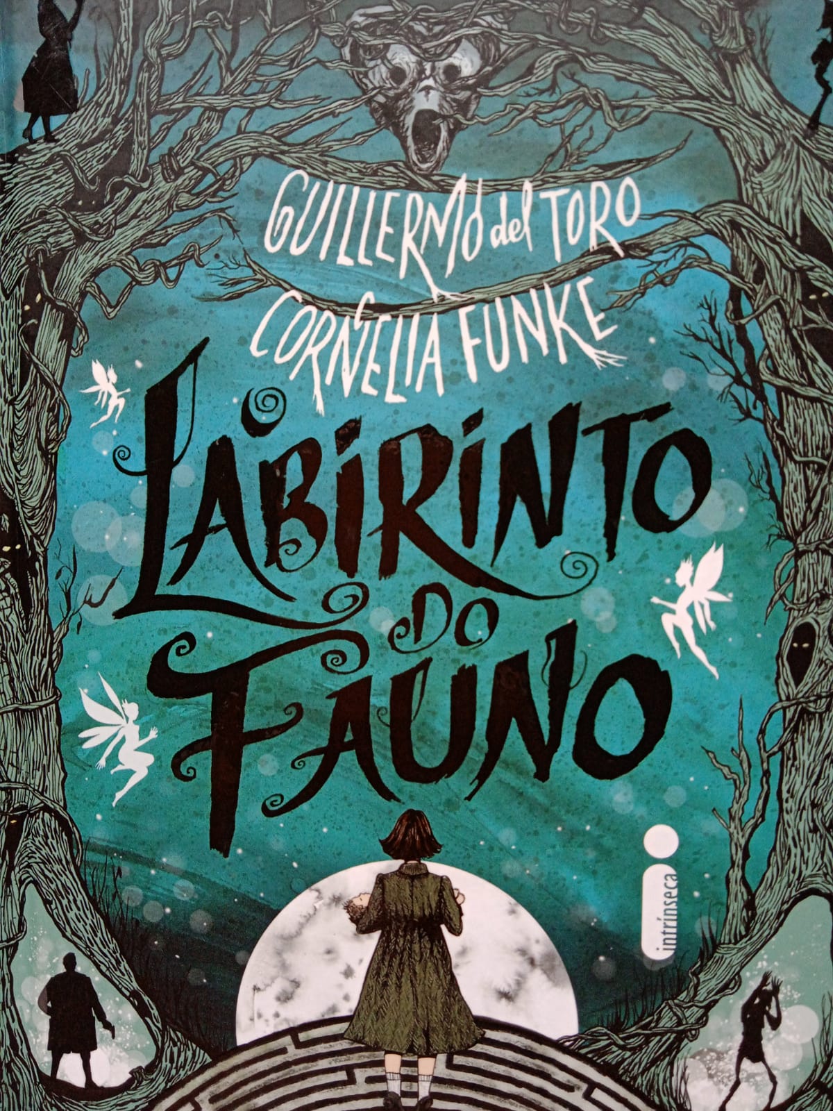 Livro Labirinto Do Fauno - NAZAEDU